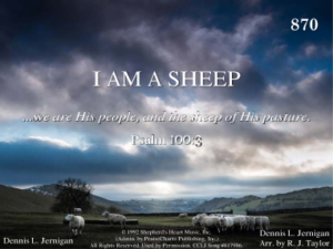 I AM A SHEEP | R. J. Stevens Music
