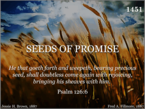 SEEDS OF PROMISE | R. J. Stevens Music